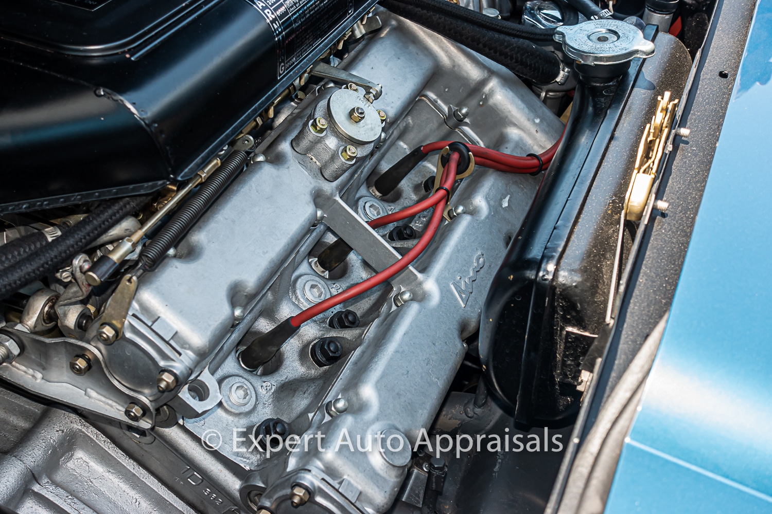 1974 Ferrari Dino 246 GTS Inspection by Expert Auto Appraisals